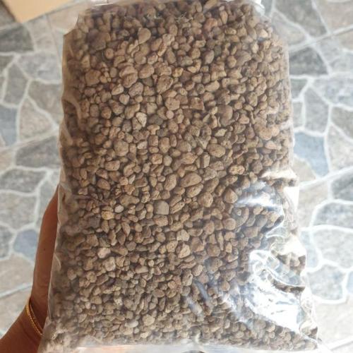 Jual PUMICE STONE BATU APUNG (1 Liter) Media tanam cocok untuk kaktus ...