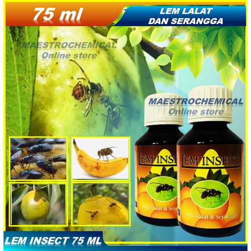 Jual lem lalat buah LEM INSECT @ 75 ML basmi lalat pada buah & daun ...