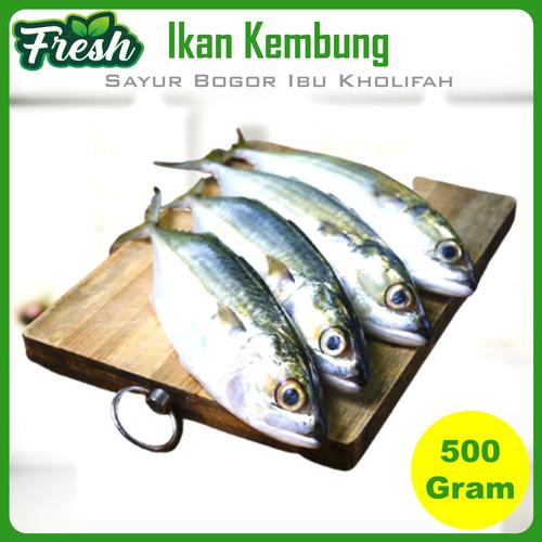 Jual Ikan Kembung Banjar Segar 250 500 Gram Ikan Hasil Laut Segar Bogor ...