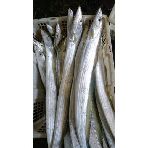 Jual Ikan Layur Segar 1kg - Jakarta Utara - Seafood wike | Tokopedia