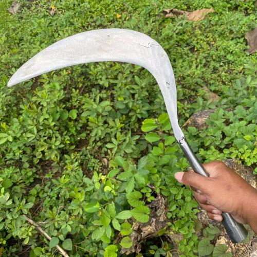 Jual Arit Rumput Padi Celuritan Madura Bahan Asli Baja Per Teba Super ...