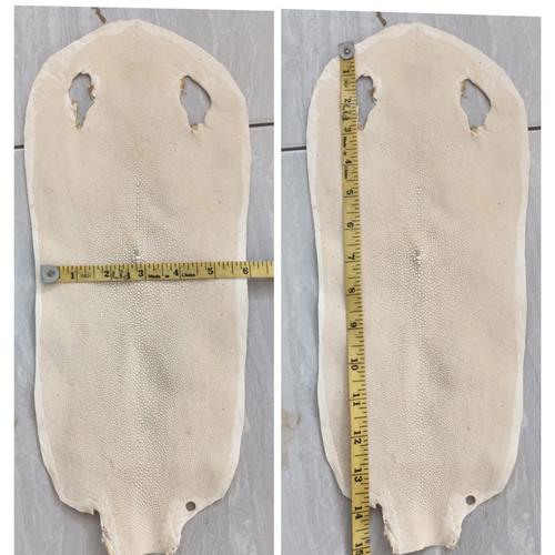 Jual Kulit ikan pari batu besar jenis jantan lembaran soft bahan tas ...