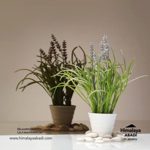 Jual Kaca Cermin Brown / Kaca Brown Mirror - Guardian UltraMirror 5mm ...