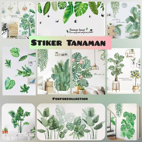 Promo Stiker Dinding Daun Monstera Skandinavian Style / Wallsticker ...