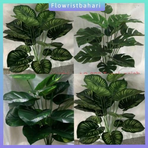 Jual Tanaman sudut Jumbo 18 Daun / Tangkai Daun Dekorasi Hias ...