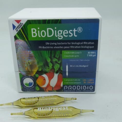 Jual PRODIBIO BIODIGEST 1 VIAL AMPUL LIVING BACTERIA BAKTERI STARTER ...