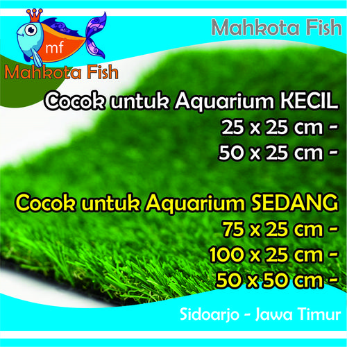 Jual Rumput Aquarium Sintesis (Cocok Untuk AQUARIUM SEDANG) | Mainan ...