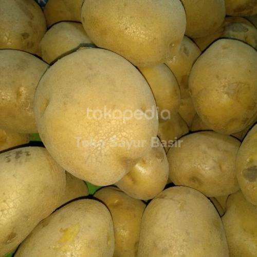 Jual kentang kuning dieng 1kg - Kota Depok - Toko Sayur Basir | Tokopedia
