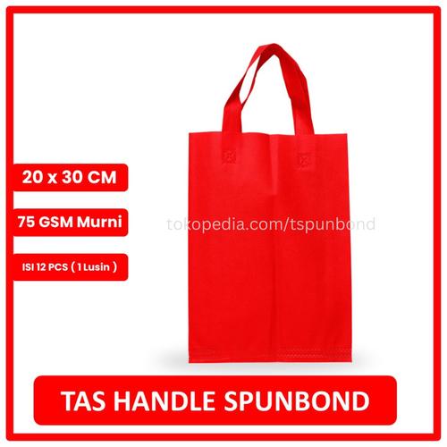 Jual Tas HLS / Tas Handle Spunbond ukuran 20x30 Satuan - Banyak Warna ...