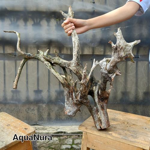 Jual kayu laut drift wood kl 9405 aquascape aquarium - Kota Tangerang ...