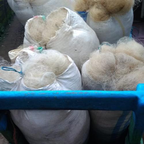 Jual jaring nelayan untuk filter kolam ikan koi 1 kg - Kab. Pangandaran ...