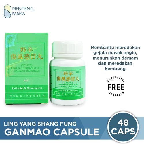 Jual Ling Yang Shang Fung Ganmao Capsules (DELING CAPSULE) - 48 Capsule ...