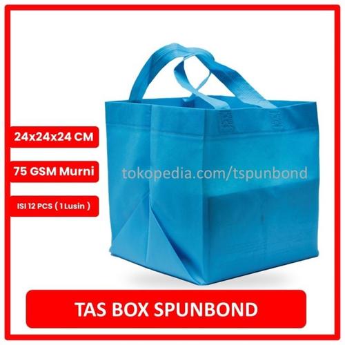 Jual Tas Box 24x24x24 Handle Satuan - Warna Biru Pocari - Jakarta Barat ...