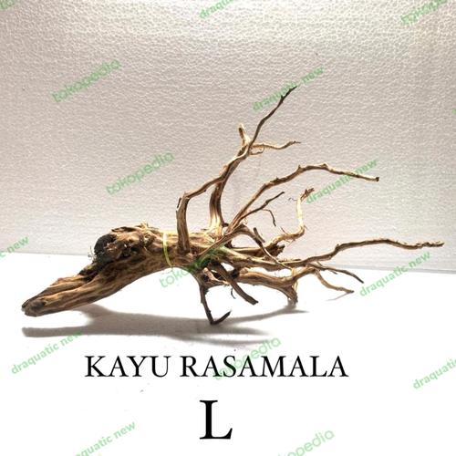 Jual AKAR KAYU RASAMALA UKURAN SIZE L AQUASCAPE - Jakarta Barat ...