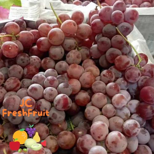 Jual Buah anggur red globe fresh - 1/2kg - Kota Tangerang - Jc FreshFruit | Tokopedia