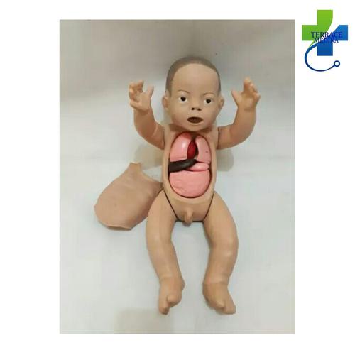 Jual bayi resusitasi dada terbuka / Phantom manikin / manekin - Jakarta ...