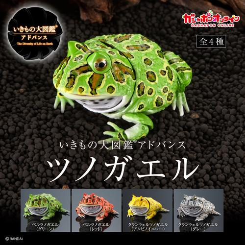 Jual Ikimono Advance Tsunogaeru Horned Frog P-Bandai Gashapon Action ...