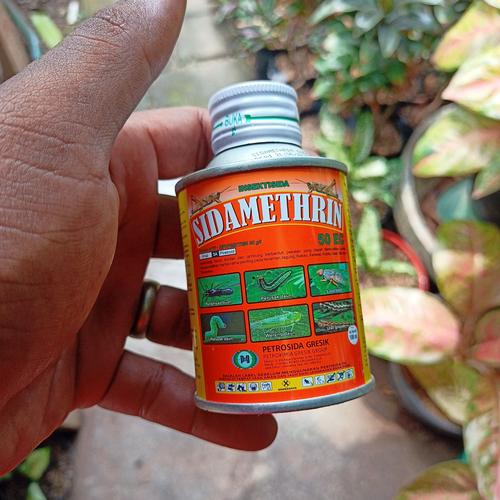 Jual drusban obat anti hama tanaman , semut,kutu, belalang dll ...