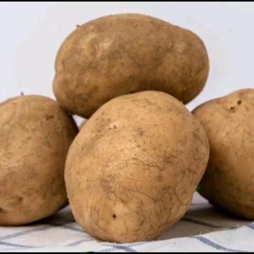 Jual Kentang Segar 1Kg - Kota Pekanbaru - Nanatsutsurugi | Tokopedia