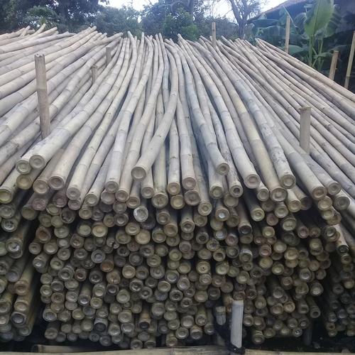 Jual Bambu Steger Untuk Proyek - Kota Tangerang Selatan - Saung Bambu ...