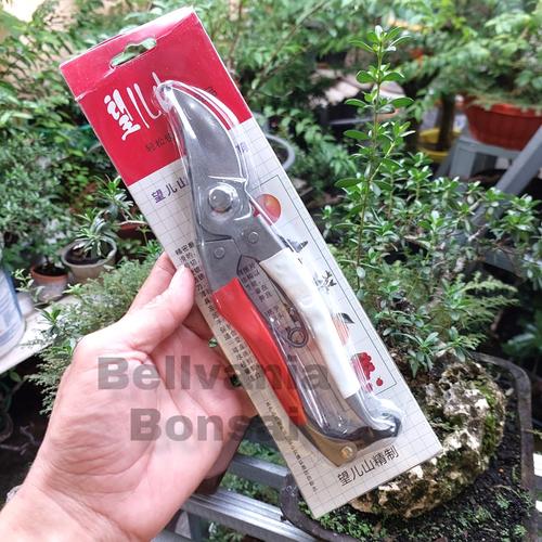 Jual Gunting Prunning Daun Buah Ranting Merah Putih 20 CM JLW - Jakarta ...