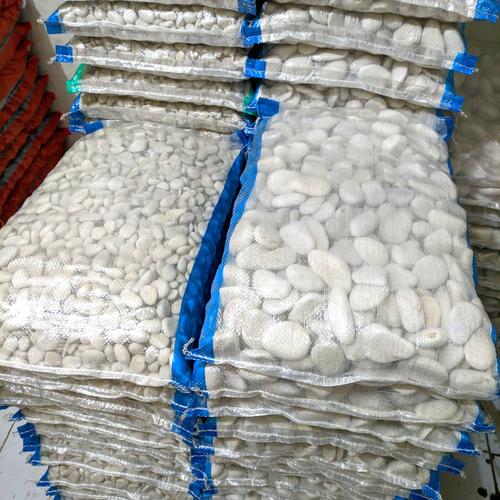 Jual batu koral kupang putih 12 kg - Jakarta Selatan - Nuansa Alam ...