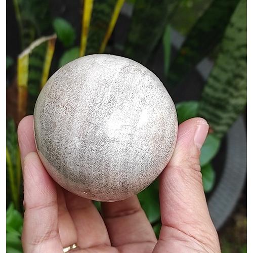 Jual 238 gr Fosil Kayu Bentuk Telur - Egg Stone Petrified Wood - Yoga ...