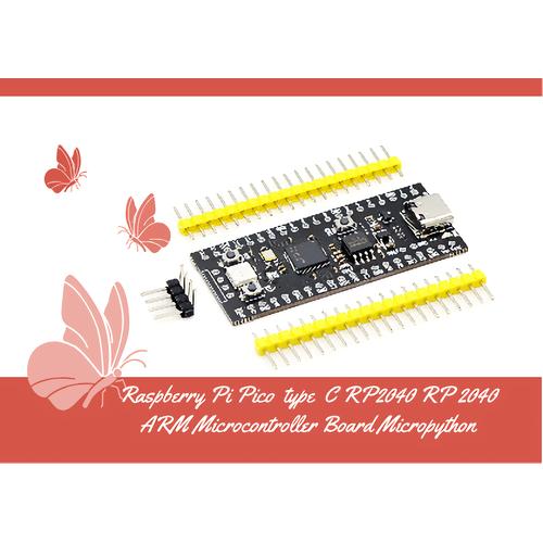 Jual Raspberry Pi Pico type C RP2040 RP 2040 ARM Microcontroller Board - Kota Makassar ...