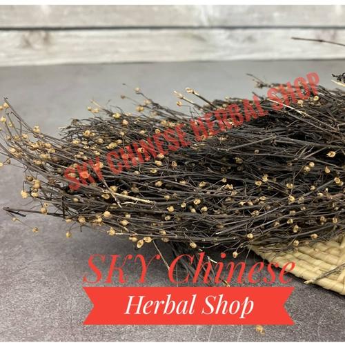 Jual Mao Dan Cao 毛丹草 Mo Tan Cho / Obat Panas Tifus Typhus Herb Chao ...