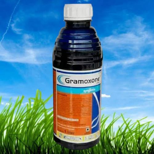 Jual HERBISIDA GRAMOXONE 1 L/racun rumput/pembasmi rumput/obat rumput ...