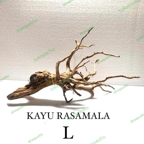 Jual AKAR KAYU RASAMALA UKURAN SIZE L AQUASCAPE PALUDARIUM - Kota ...