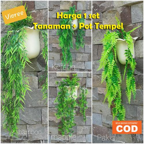 Jual Bunga Rambat Plastik Hiasan dinding dengan Pot Tempel Daun ...