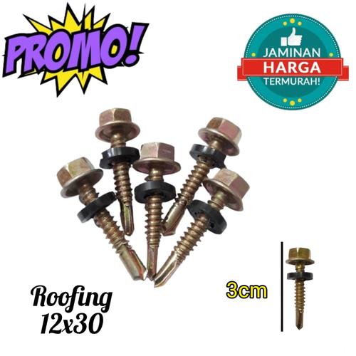 Jual Baut Skrup Sekrup Baja Ringan Roofing 12 x 30 12x30 panjang 3cm ...