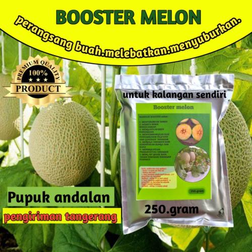 Jual pupuk booster melon pupuk booster andalan prangsang buah organik - Kab. Tangerang ...