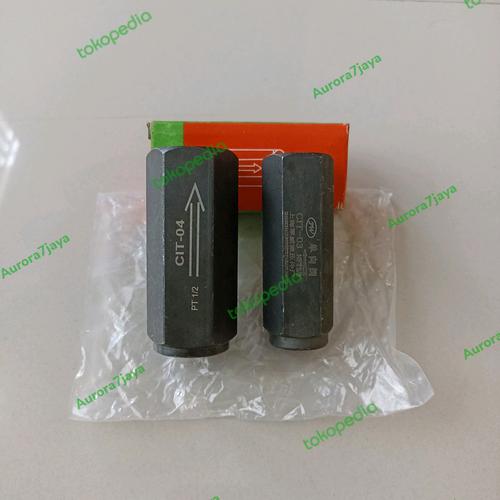 Jual Check valve / katup satu arah 1/4 3/8 1/2 3/4 1 1 1/4 1 1/2 2 - 1/ ...