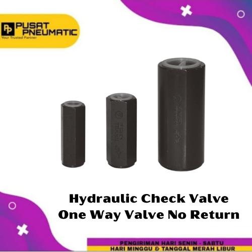 Jual Check Valve Hydraulic One Way Valve Non Return Valve 3000 PSI Type ...