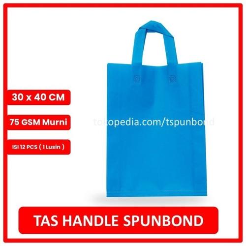 Jual Goodie Bag Spunbond Handle ukuran 30x40 Lusinan - Warna Biru ...