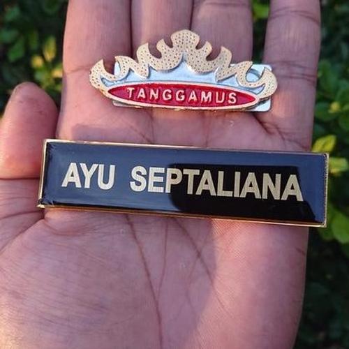 Jual Papan Nama/Nametag/Name Tag Dan Pin Siger Pns/Asn Lampung ...