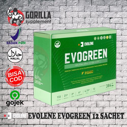 Jual EVOLENE EVOGREEN 12 1 Box 12 Sachet 384 Gram Plant Based Protein ...