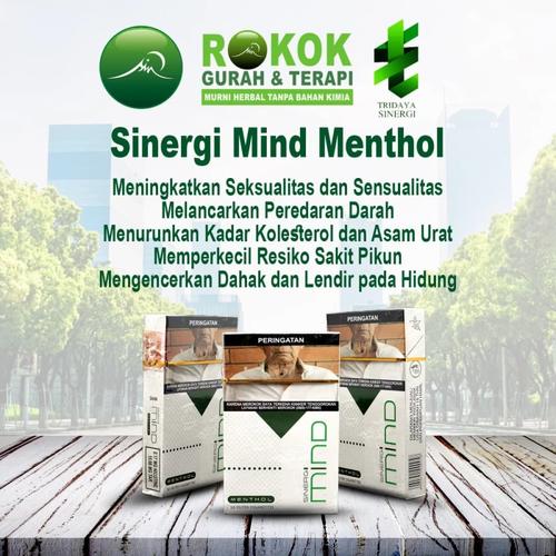 Jual SINERGI MIND MENTOL HERBAL SIN /Bks - Kota Bandung ...