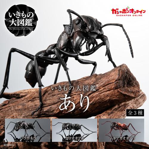 Jual Ikimono Daizukan Ari Ant Semut Bandai Gacha Gashapon Action Figure ...
