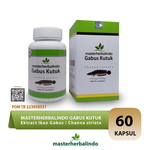 Jual Kapsul Herbal Gabus Kutuk Untuk Luka Mata Tulang Gigi Diabetes ...