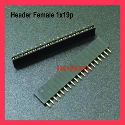 Jual Header Female 1x19 Pin 2.54mm Single Row Lurus 1x19p for ESP-32 ...