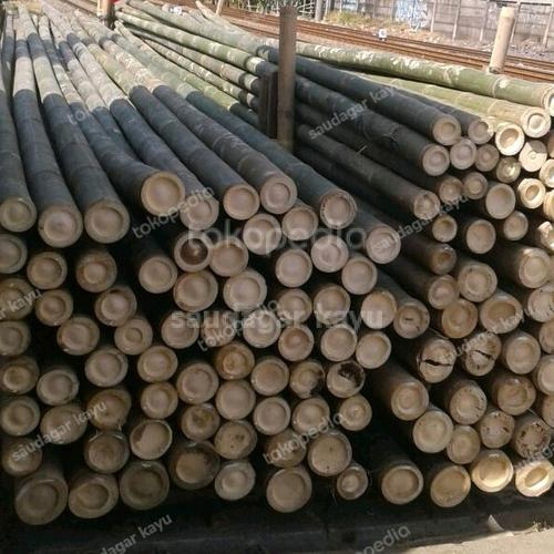 Jual bambu diameter 8-9cm murah steger - Jakarta Utara - saudagar kayu ...