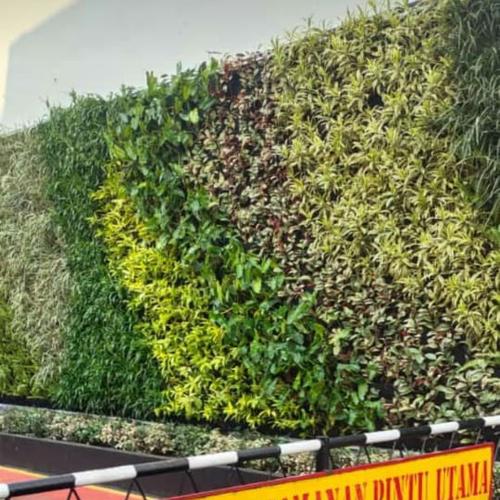 Jual Pembuatan vertical garden tanaman hidup dengan penyiraman otomatis ...