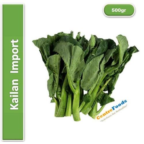 Jual Sayur Kailan - Gai Lan Import Fresh | 500gr [ Harga Per 0,5 Kg ...