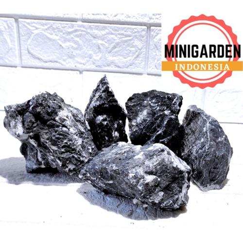 Jual BATU KREKET BATU KRIKET BLACK SEIRYU DEKORASI AQUASCAPE AQUARIUM ...