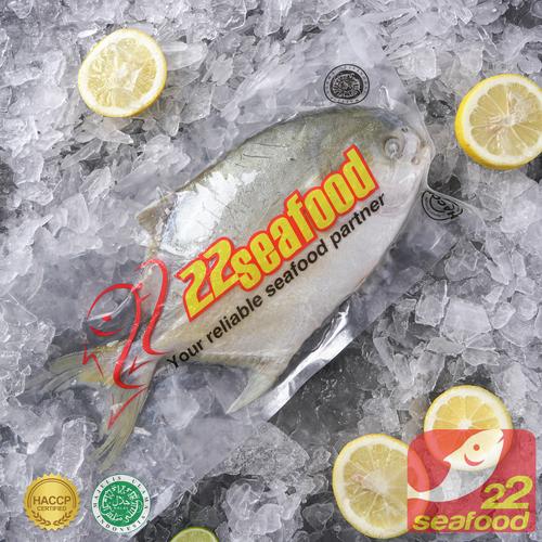 Jual Ikan Bawal Bintang 500-600 gram / Ikan Marukoban / Seafood 22 ...