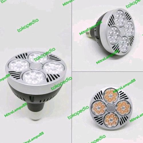 Jual Lampu Sorot Spotlight Par30 Led 35W Par 30 35Watt SMD Fiting E27 ...