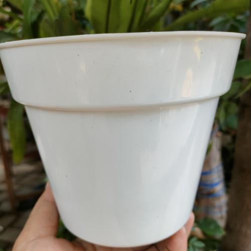 Jual Pot tanaman hias putih polos - Tinggi , tebal .Ukuran 15 - Kota ...